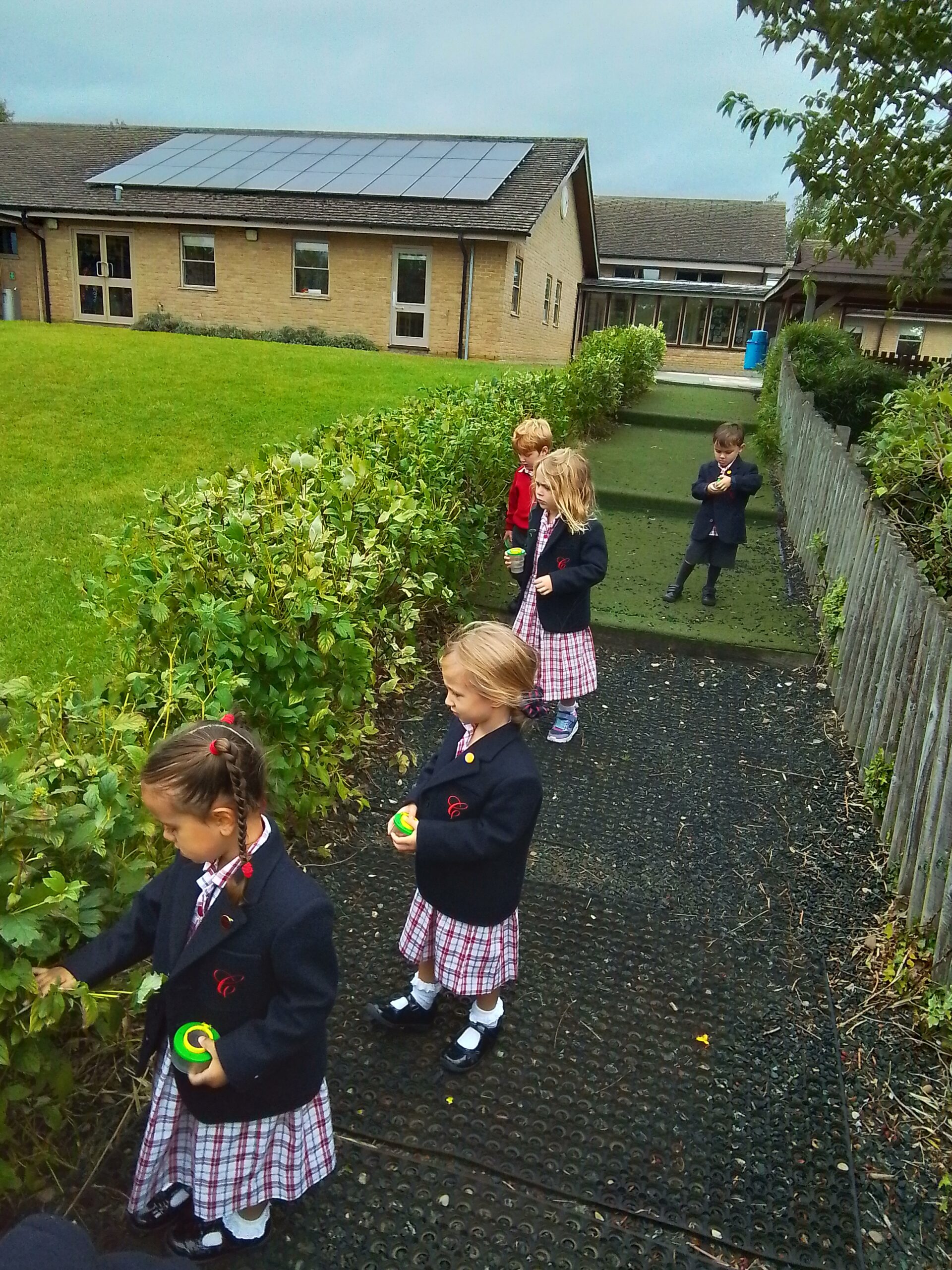 Woodland Adventures! – Copthill School