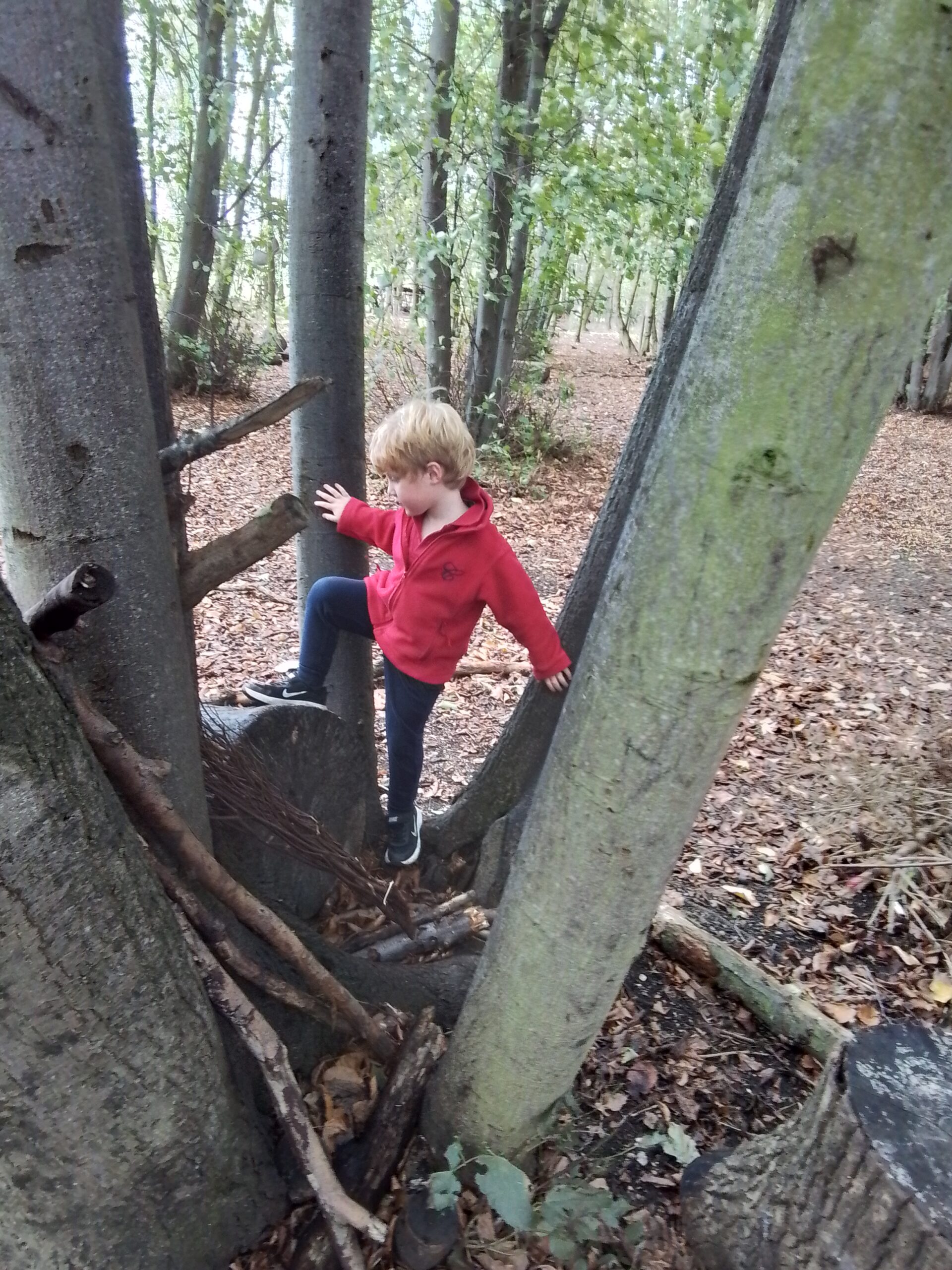 Woodland Adventures! – Copthill School